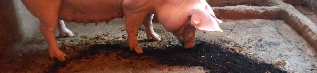 Biochar formulations – Biochar for Sustainable Soils