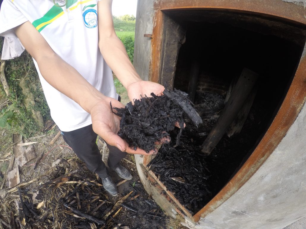 Biochar for Sustainable Soils