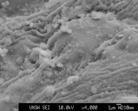 The Properties of Fresh and Aged Biochar – Biochar for Sustainable Soils